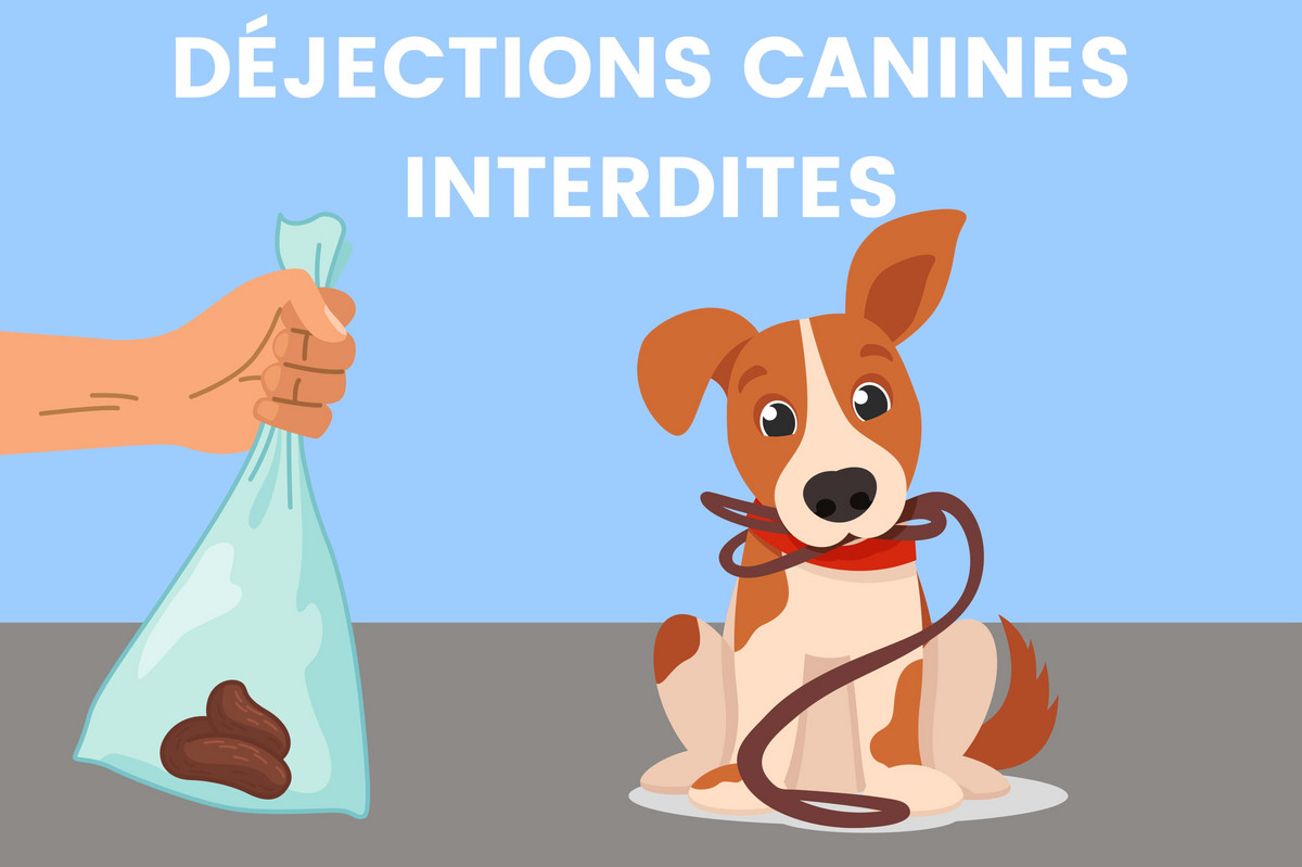 Lutte contre les déjections canines - Commune de Cabara